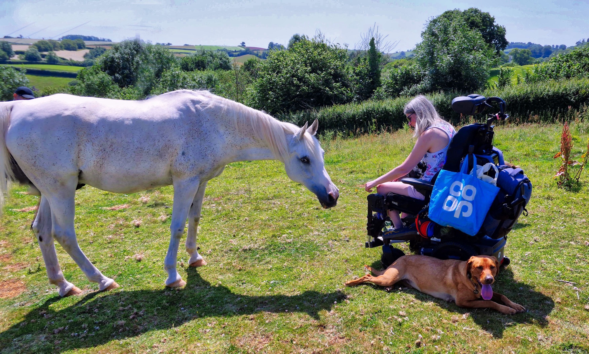About Us | Horsemanship for Health